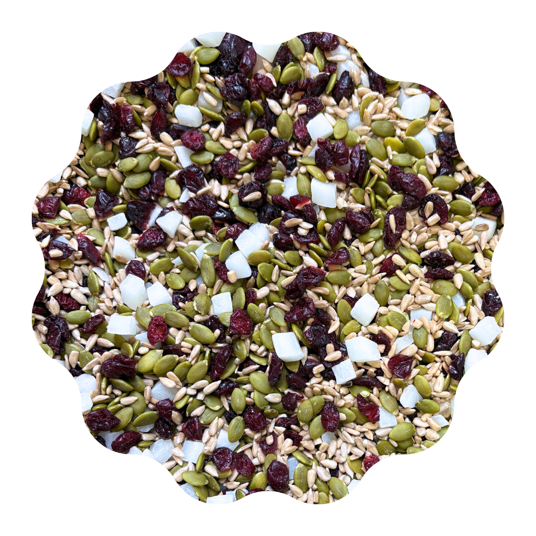 Mix Natural – Hausnusse