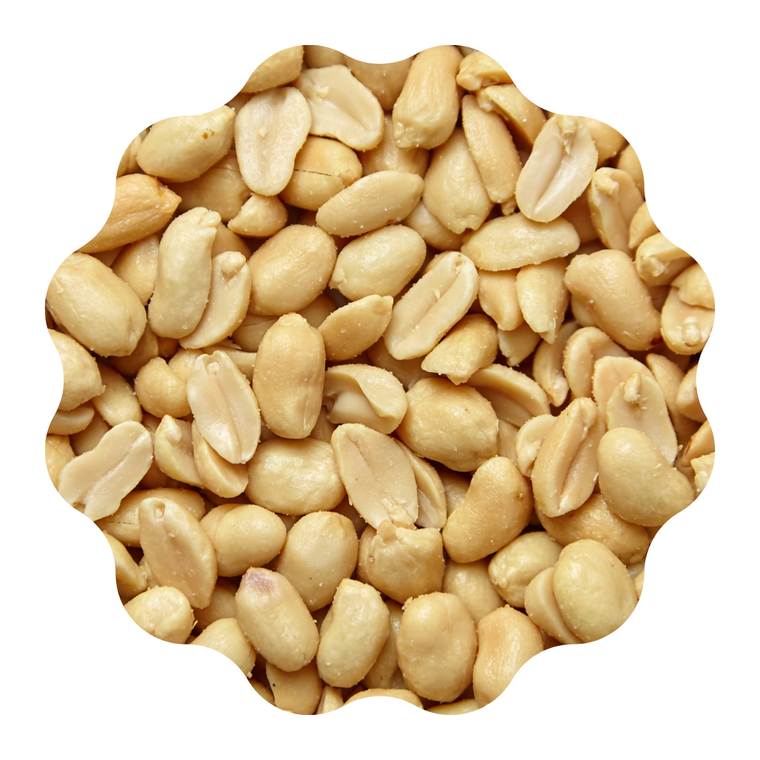 Maní Con Sal – Hausnusse